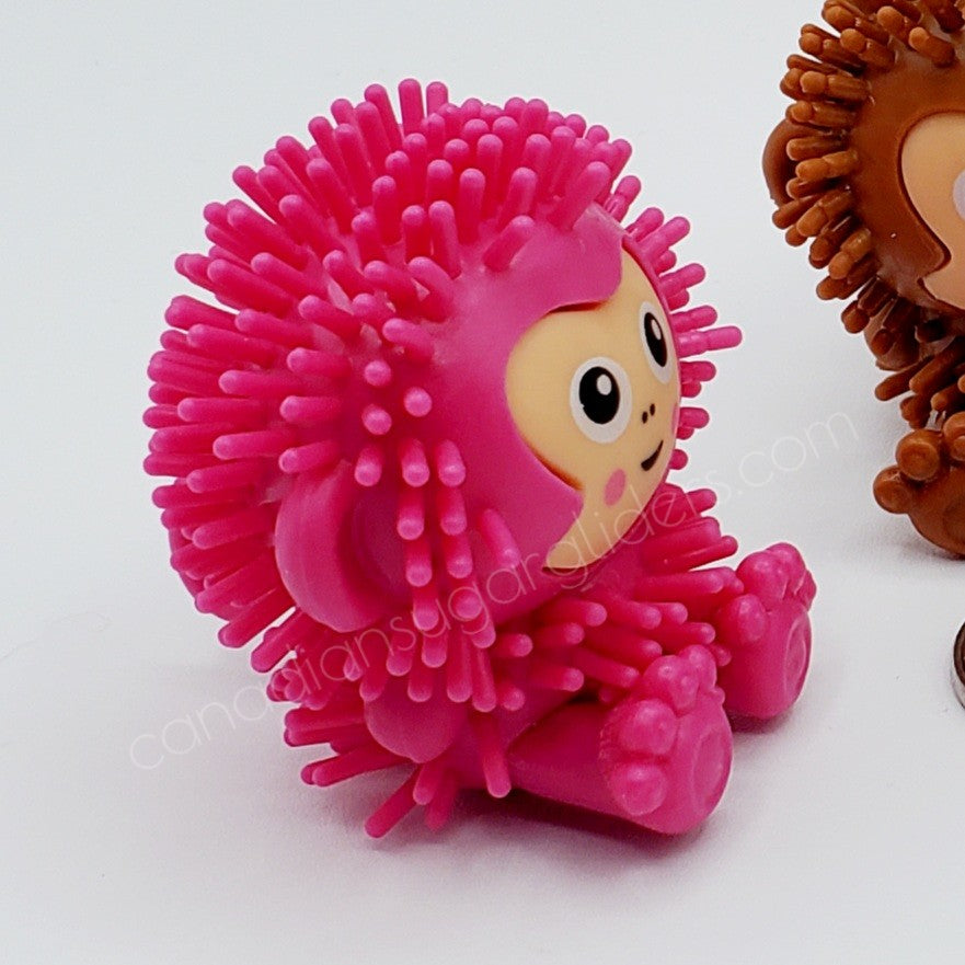 Spiky Monkey – Canadian Sugar Gliders